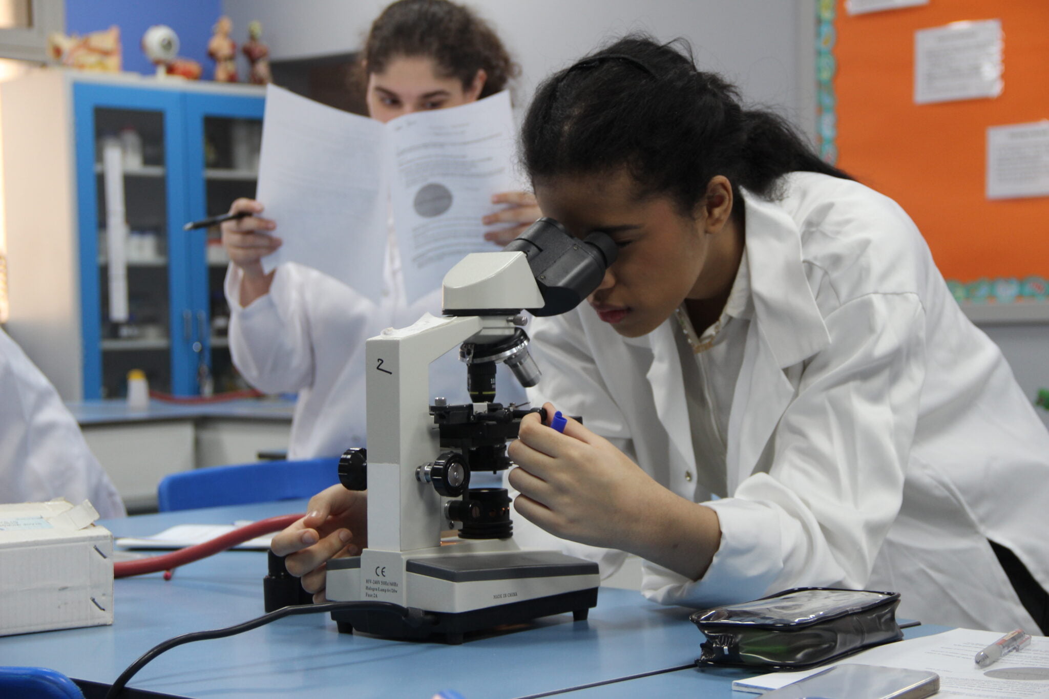 A Guide to the American International School Experience in Riyadh ...